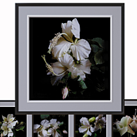 01. Picture Pjatteryd Blue Patterns - Frame - 3D model