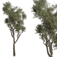 uniquevry3d's 3D Models - Download and Buy on 3dsky.org
