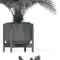 Plants collection 68 Modernica pots - Indoor - 3D model