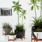Plants collection 77 Modernica pots - Indoor - 3D model