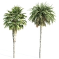 set of tree 12 vray - Tree - 3D model