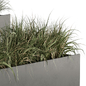 Outdoor Plant Set 288 - Grass in Plant Box - Outdoor - 3D model