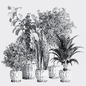 Indoor Set Plant15 - Indoor - 3D model