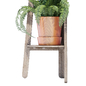 Askholmen plant stand - Rack - 3D model