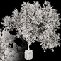 Lemon tree 02 - Indoor - 3D model