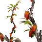 Persimmon Bonsai Tree in Vase 236 - Indoor - 3D model
