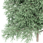 Green spruce corona - Tree - 3D model