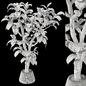 Bonsai Jungle Ficus Elastica Rubber Tree Collection 283 - Indoor - 3D model