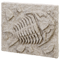 DIY Fossil Art Collection - Frame - 3D model