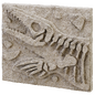 DIY Fossil Art Collection - Frame - 3D model