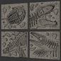 DIY Fossil Art Collection - Frame - 3D model