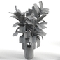 rubber tree 045 - Indoor - 3D model