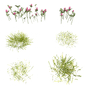Grass Lawn Scatter - Grass - 3D model