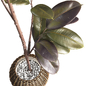 Bonsai Jungle Ficus Rubber Tree 408 - Indoor - 3D model