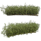 Curved Natural Shrub Fence - Bush - 3D model