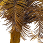 Curly Palm Tree 03 - Tree - 3D model