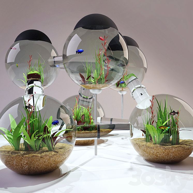 Aquarium - Other decorative objects - 3D model