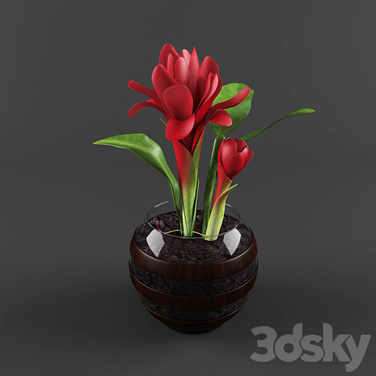 Flower - Indoor - 3D model