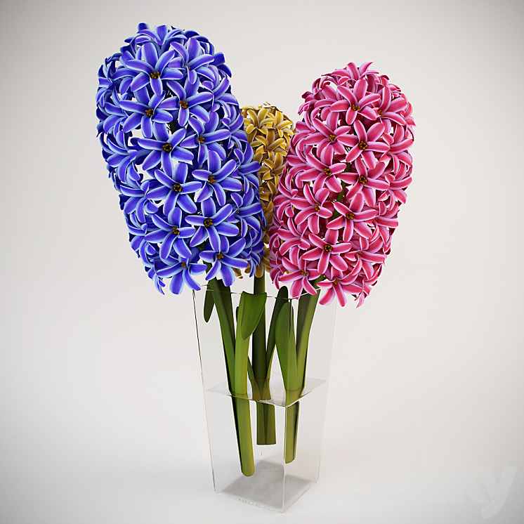 Hyacinth - Bouquet - 3D model