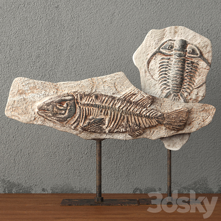 Fossils on Stand - Other decorative objects - 3D model