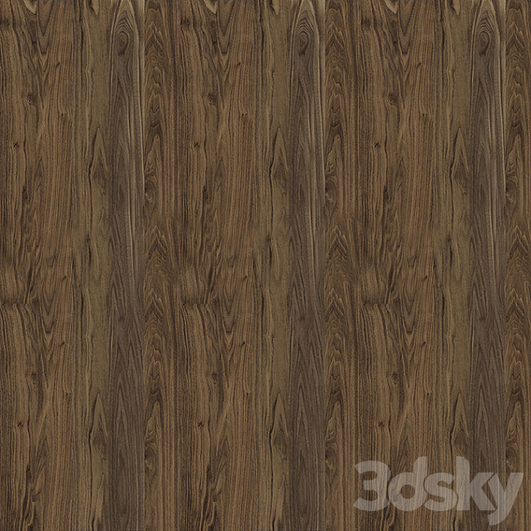 Texture of American walnut - Wood - 3D model