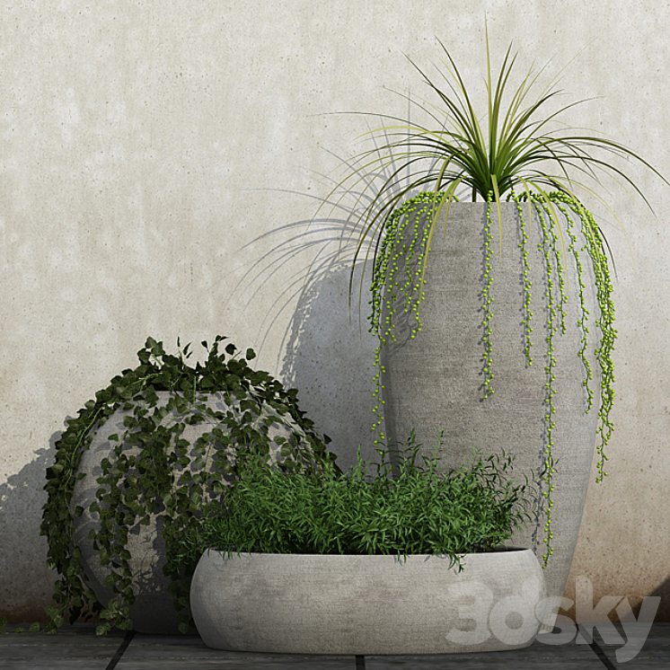Outdoor Planters 03 - Outdoor - 3D model