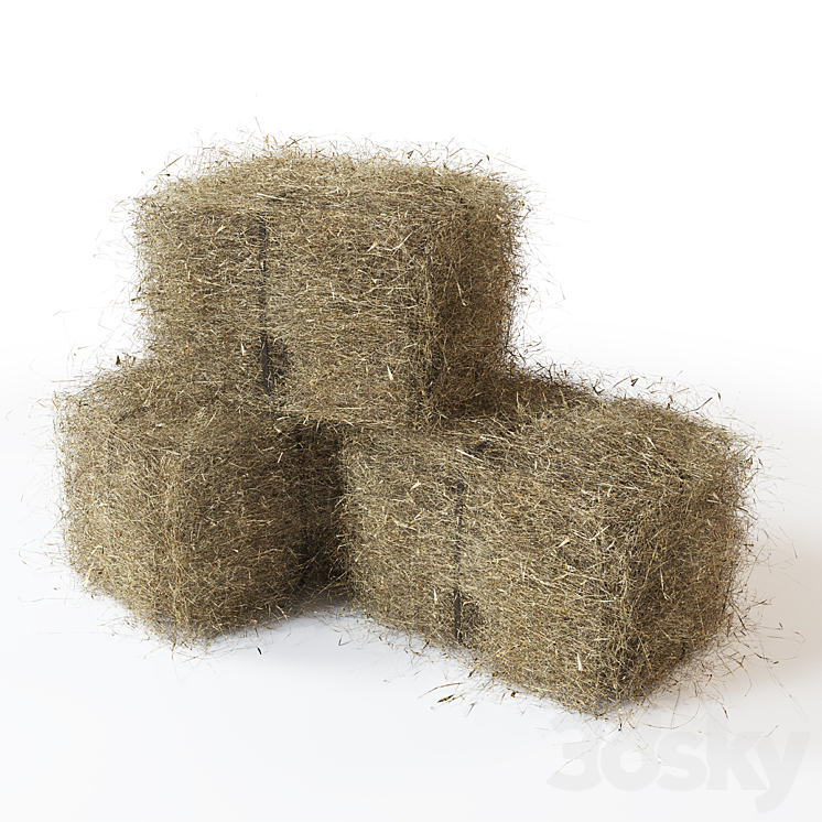 Bales of hay - Other - 3D model