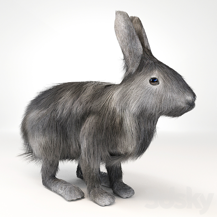 pet rabbit - Creature - 3D model