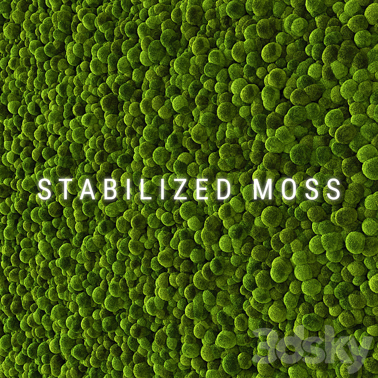 Stabilized Moss 2 - Fitowall - 3D model