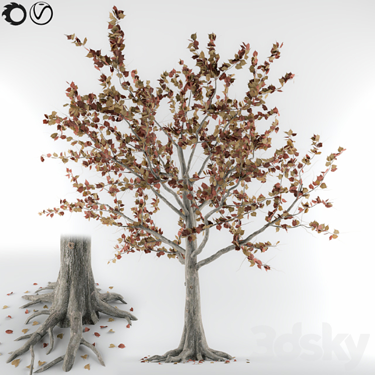 Fall trees - Tree - 3D model