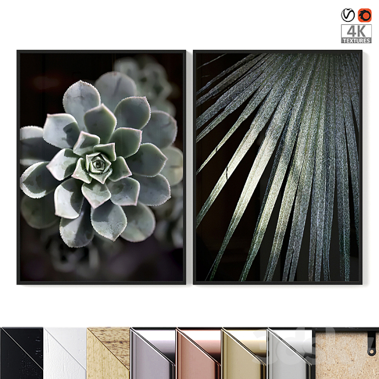 Poster Set "Green Succulent" - Frame - 3D model