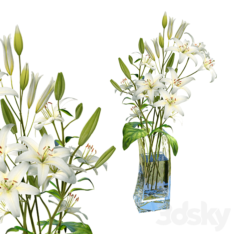Lilium - Indoor - 3D model