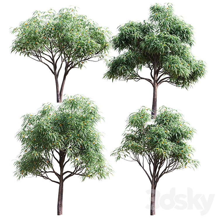 Set of deciduous trees with fruits - medlar. 4 models - Tree - 3D model