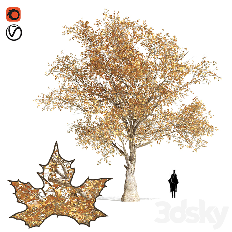 Plane tree fall - Tree - 3D model
