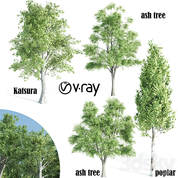 tree set- vray - Tree - 3D model