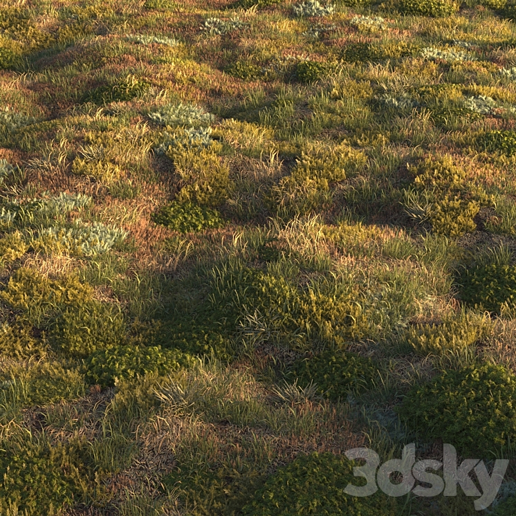 Forest grass - Grass - 3D model