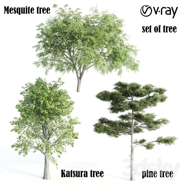 set of tree013 vray - Tree - 3D model