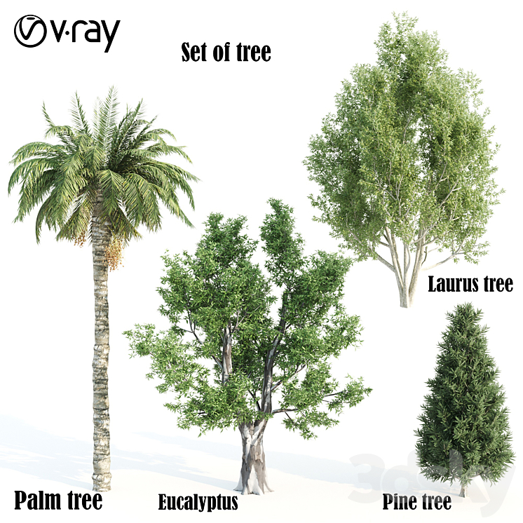 set of tree-11-vray - Tree - 3D model