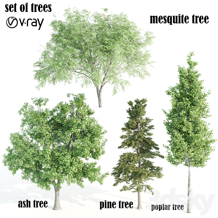 set of trees 06 vray - Tree - 3D model