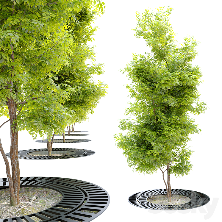 Tree with metal grate - Tree - 3D model