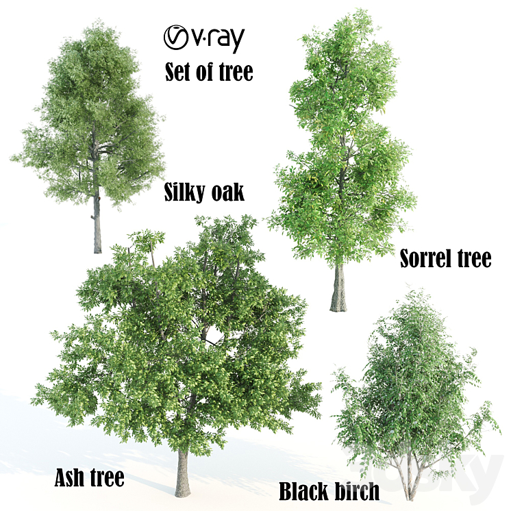 set of tree 09 vray - Tree - 3D model