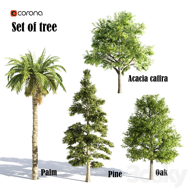 set of tree016-corona - Tree - 3D model