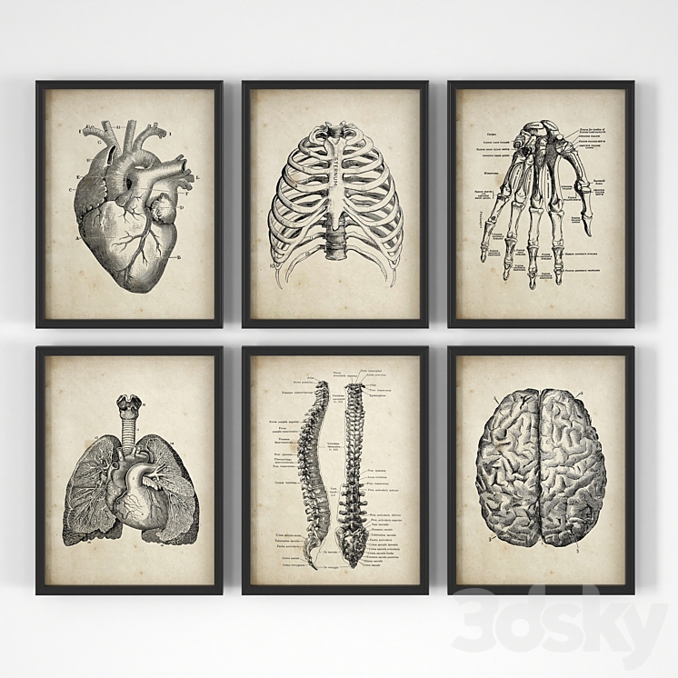 Medical posters - Frame - 3D model