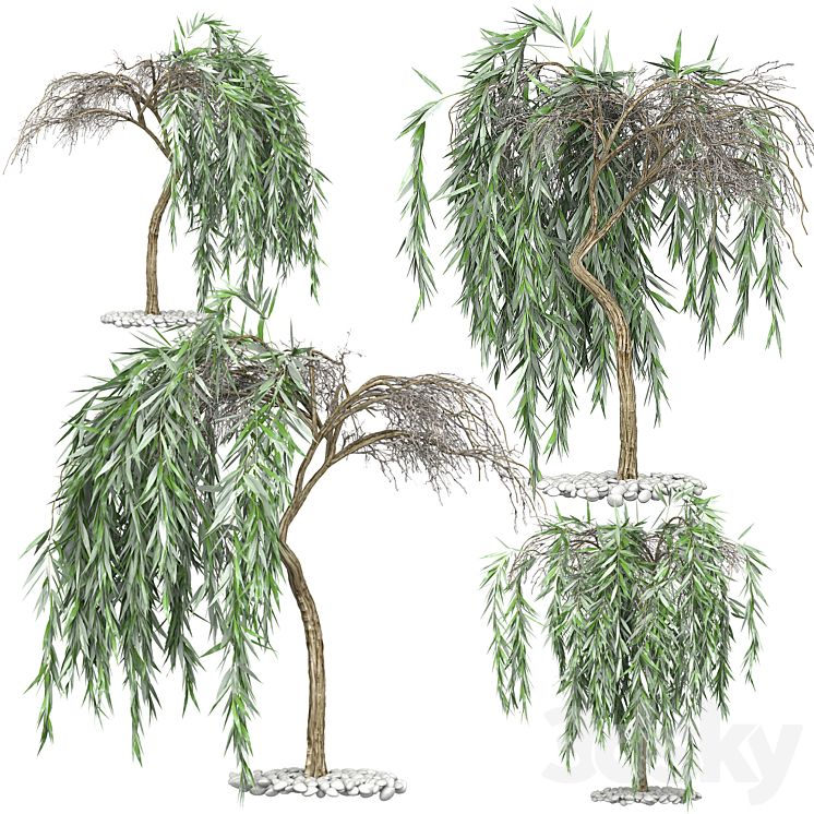 Flower Pack 140 - Tree - 3D model