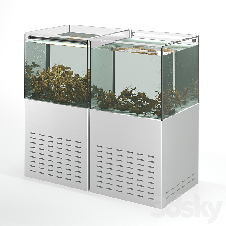 Crayfish aquarium - Shop - 3D model