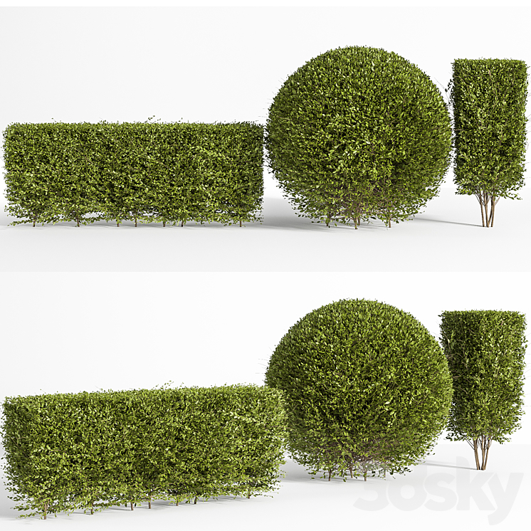 Shamshad rectangular and rectangular standing and spherical - Bush - 3D ...