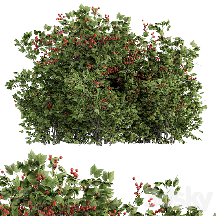 Berry Bush - Bush Set 17 - Bush - 3D model