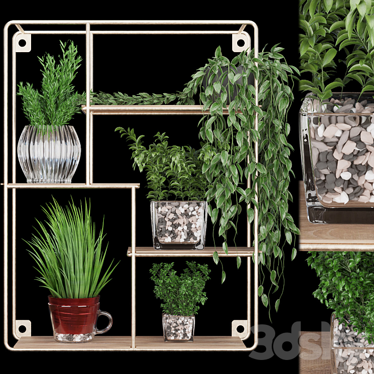 Collection plant vol 122 - Indoor - 3D model
