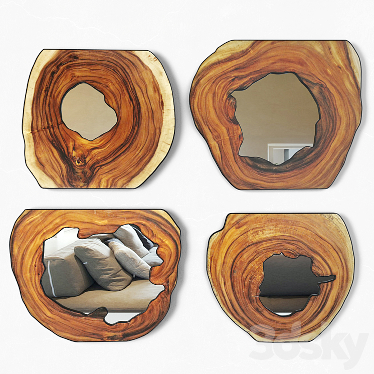 Organic Monkey Pod Mirrors 3 - Mirror - 3D model