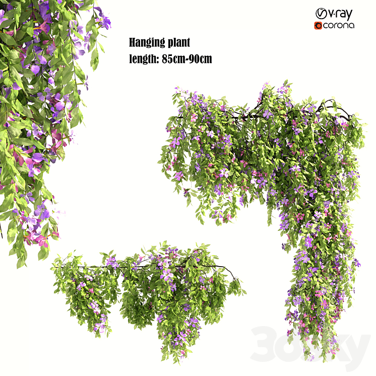 hanging plant - Outdoor - 3D model